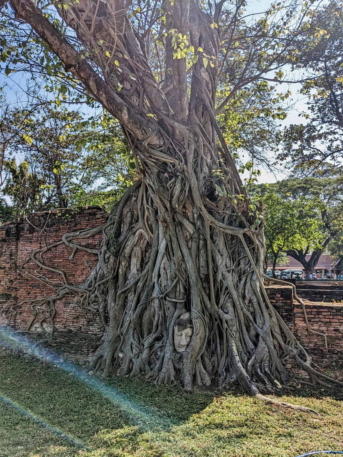Wat Mahathat Ayutthaya Buddha’s Head in Tree Roots – TIMEtoMOSEY