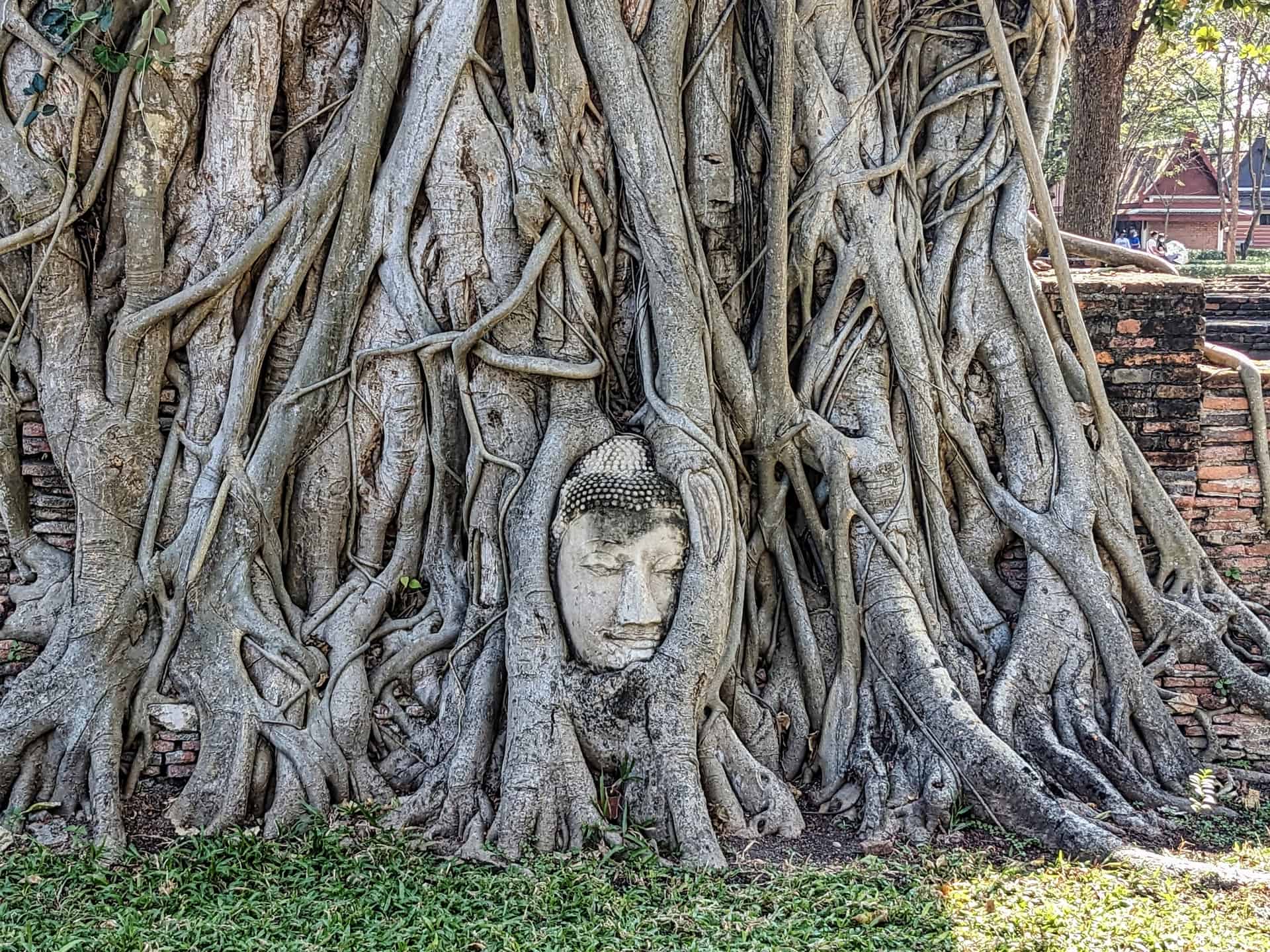 Wat Mahathat Ayutthaya Buddha’s Head in Tree Roots – TIMEtoMOSEY