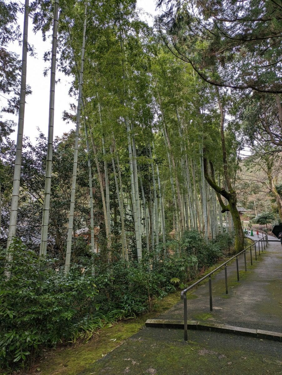 Mausoleum Emperor Hanazono Kyoto – TIMEtoMOSEY