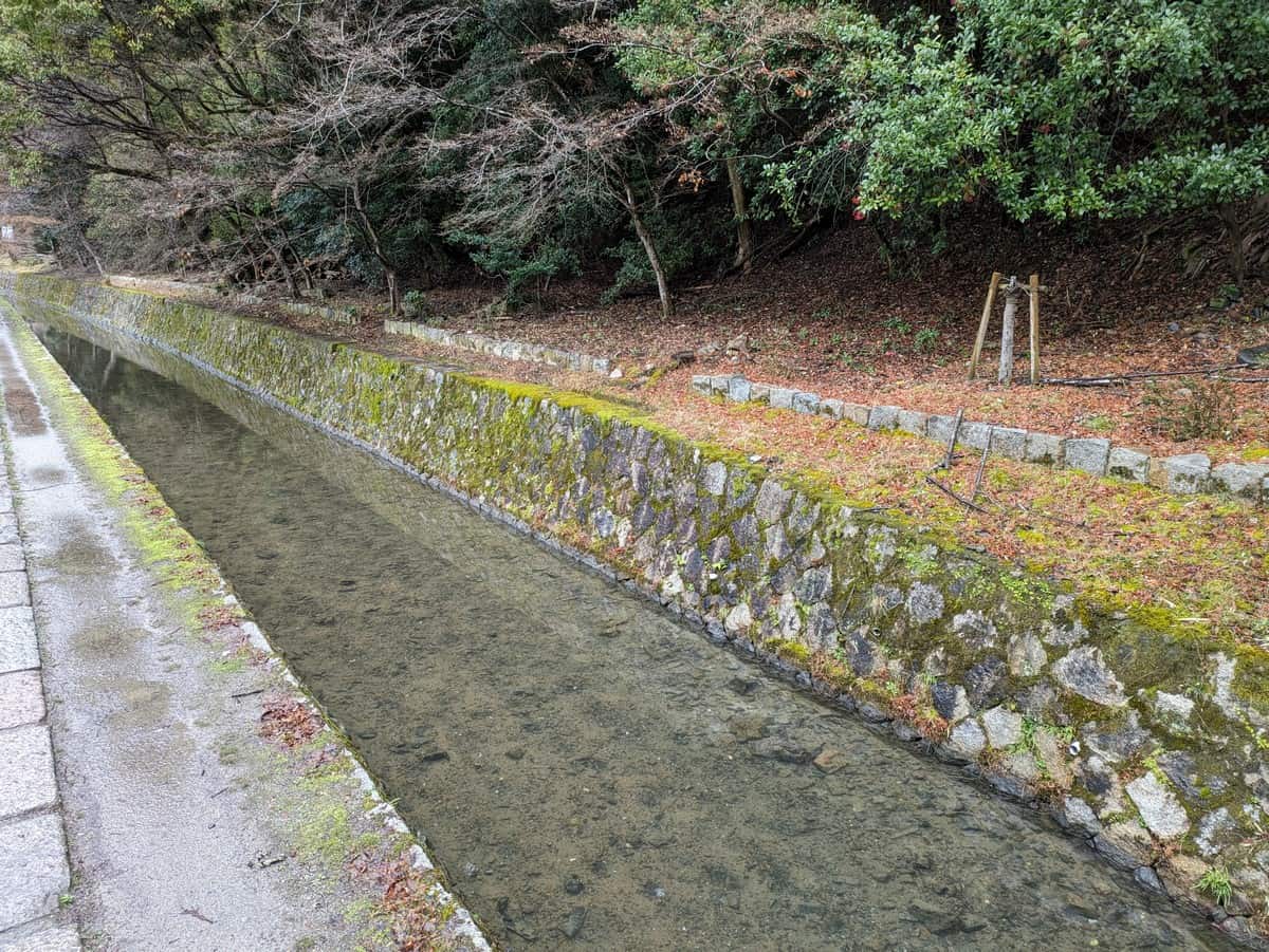 Philosopher’s Path Walk Kyoto – TIMEtoMOSEY