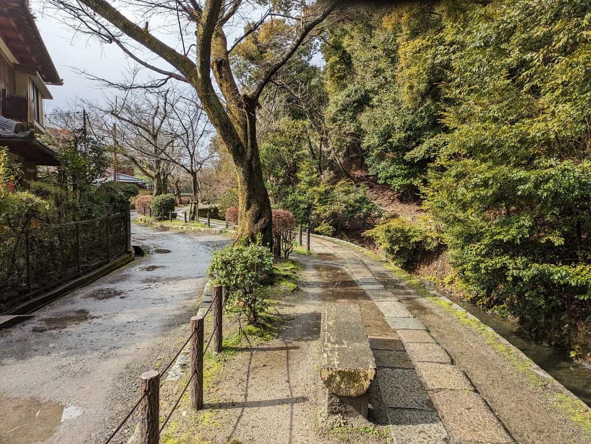 Philosopher’s Path Walk Kyoto – TIMEtoMOSEY
