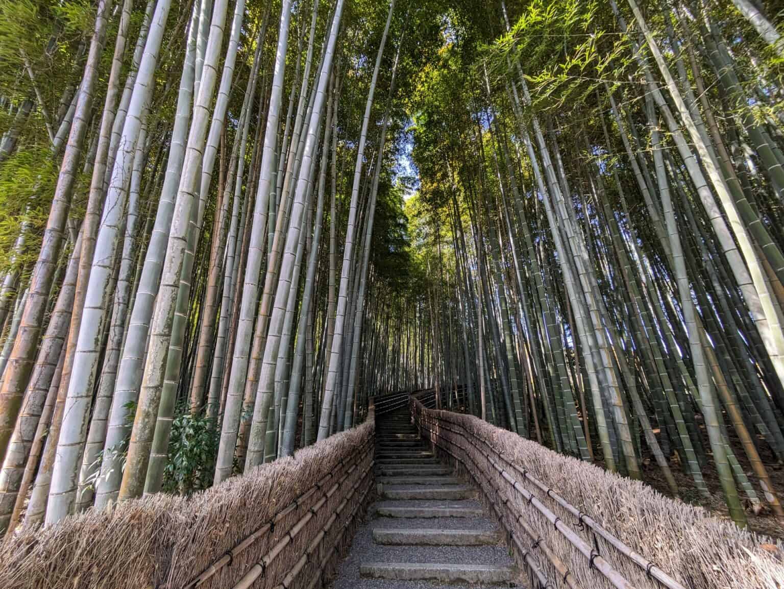 Adashino Nenbutsuji Temple and Bamboo Forest Arashiyama Kyoto – TIMEtoMOSEY