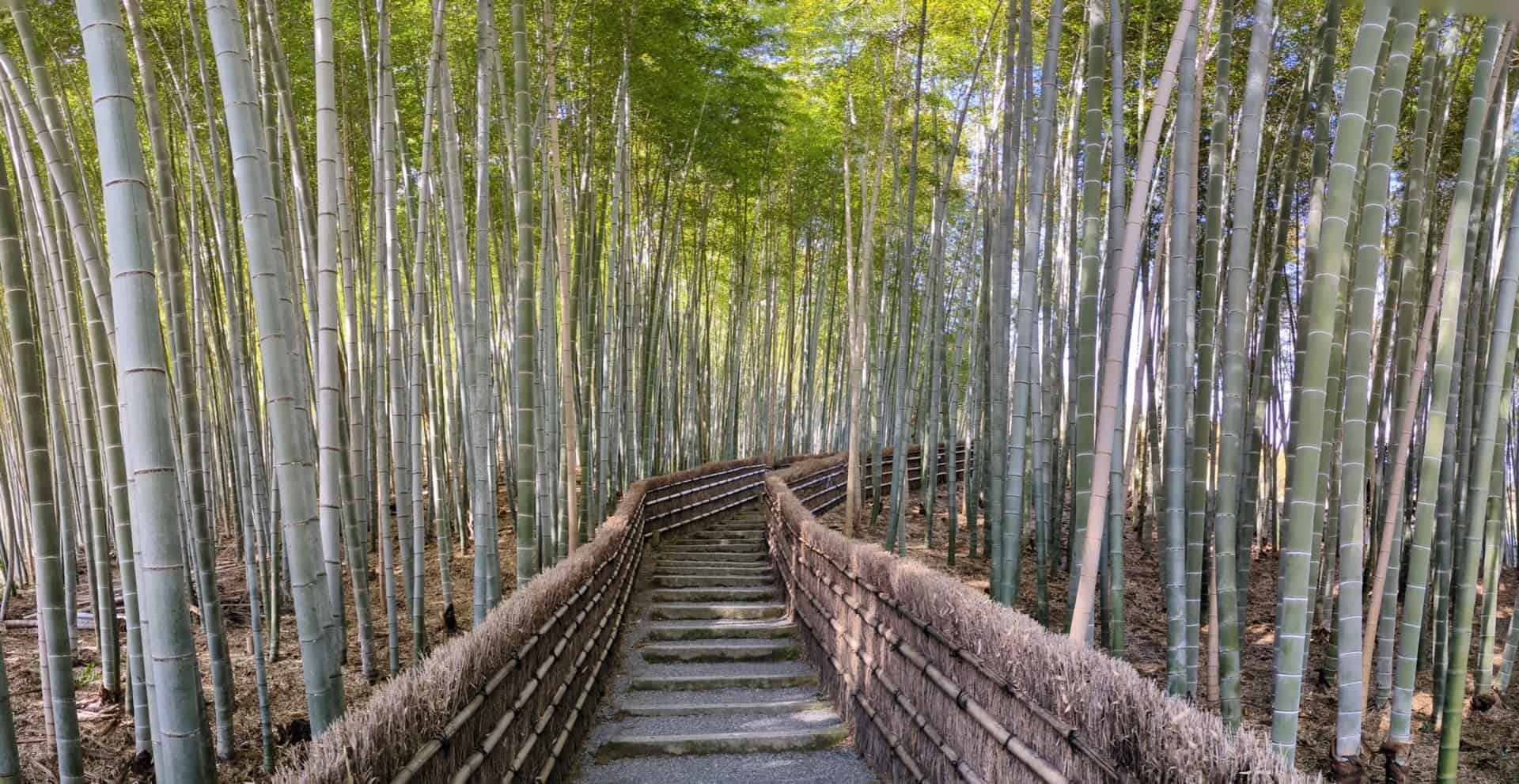 Adashino Nenbutsuji Temple and Bamboo Forest Arashiyama Kyoto – TIMEtoMOSEY